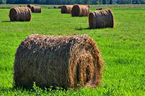1280x800 Wallpaper Field Hay Agriculture Sunset Grass Bale Peakpx