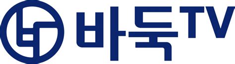Regex Expression R Shortcuts