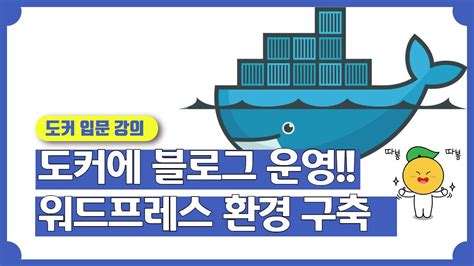 도커 Docker 환경에 워드프레스 웹 서비스 설치하기 외부 mysql과 연결 YouTube