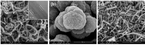 Figure 1 From Selective Nonenzymatic Amperometric Detection Of Lactic Acid In Human Sweat
