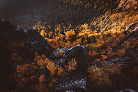 Wallpaper Sunlight Trees Landscape Forest Fall Rock Nature