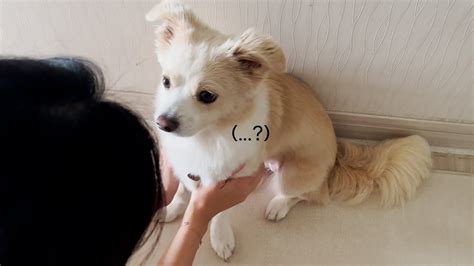하루야 너 목욕 해야 돼 네 목욕 해야 된다고 YouTube