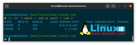 Linux 下 12 个监视网络连接的 Ss 命令示例 Linux迷
