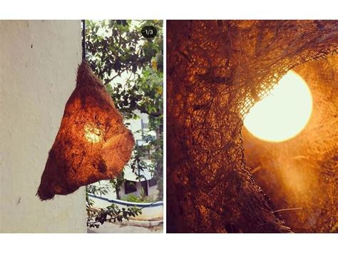 Handmade Bird Nest Lamp Cluster Hanging Lights Corded Electric At ₹ 300 Piece In Jaipur