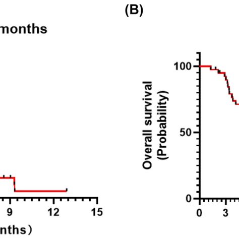 Kaplanmeier Survival Curves Of Progression Free Survival Pfs And