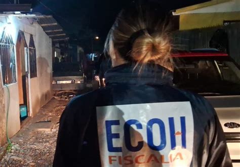 Detienen A Banda De Extranjeros Especializada En Secuestros Mujer Es