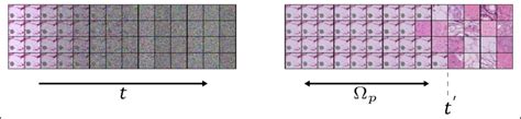 Illustration Of The Reverse Diffusion Process Left Shows Query Images