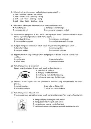 Ipa PDF