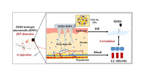 Hydrogel Coated Sers Microneedles For Drug Monitoring In Dermal Interstitial Fluid Acs Sensors