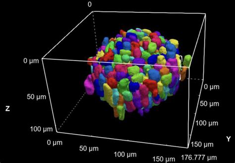 Appnote Confocal Microscopy Nikon Instruments