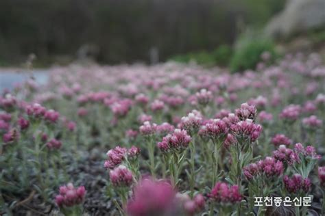 국립수목원 기후변화로 사라져 가는 북방계 및 북한식물 전시