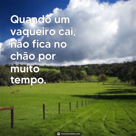 Descubra As Melhores Frases De Vaqueiro Para Inspirar Sua Jornada