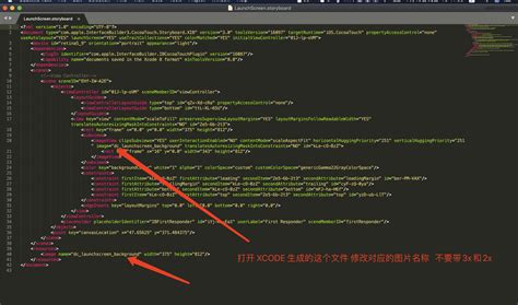 Apple Xcode Storyboard Uniapp