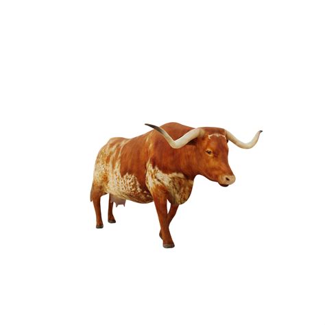 Texas Longhorn Cattle Isolated 18754269 Png
