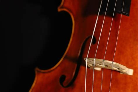 Premium Photo Cello Strings On Bridge Of Old Artisan Instrument Closeup Premium Photo Cello Strings On Bridge Of Old Artisan Instrument Closeup