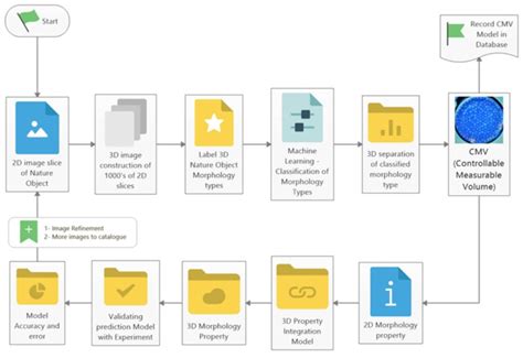 morphology decoder a road map shows the novel protocol for quantifying