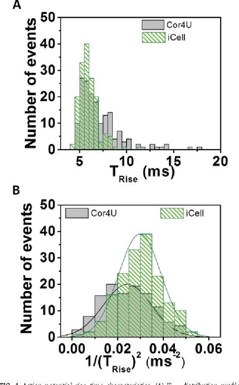 Figure 4 From The Use Of Ratiometric Fluorescence Measurements Of The Voltage Sensitive Dye Di 4