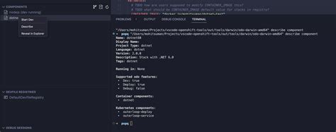 Deploy Command Is Not Shown Even If Deploy Is True In Odo Describe