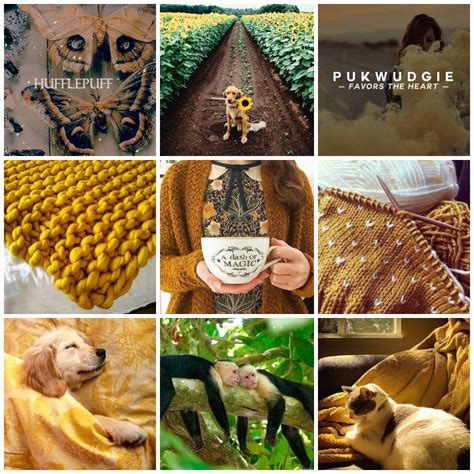 Hogwarts House Mood Board Request Hufflepuff Mood Board Hufflepuff