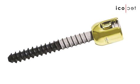 Icotec Pedicle Screw System Carbon Peek Icotec