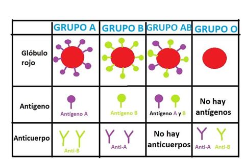 Aprendamos Un Poco Acerca De Los Grupos Sanguíneos Material De