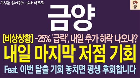 금양 주가전망 비상상황 25 급락 내일 추가 하락 나오나 내일 마지막 저점 기회 이번 탈출 기회 놓치면 평생 후회합니다 금양 금양주가전망 Youtube