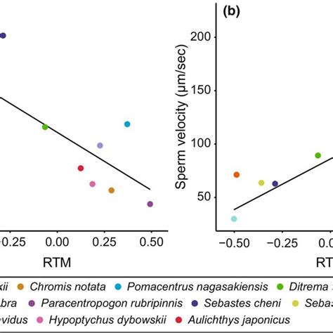 Relationship Between Relative Testes Mass Rtm And Sperm Components Download Scientific