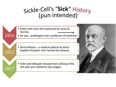 Ppt Sickle Cell Anemia Powerpoint Presentation Free Download Id
