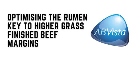 optimising the rumen key to higher grass finished beef margins sr