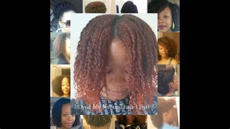 I Dyed My Natural Hair Part 3 Youtube