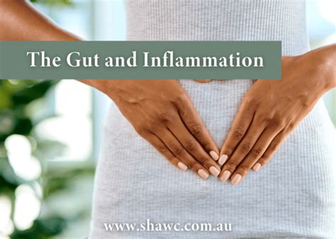 The Gut And Inflammation Sustainable Health And Wellness Clinic