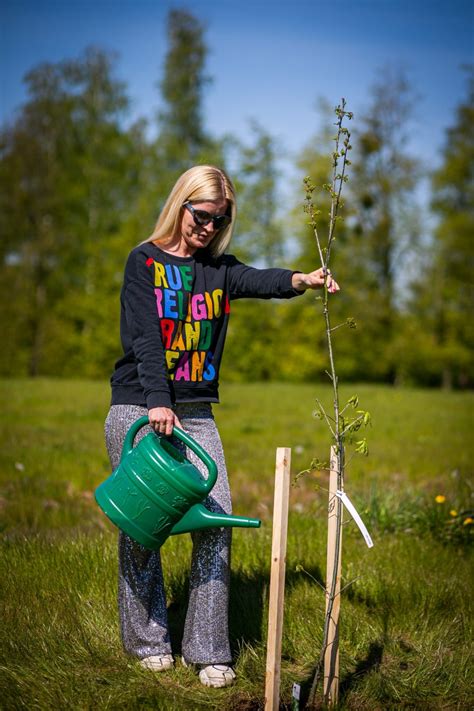 Svajoti Nenustok Penkta Koja Kuria Parką Penkta Koja