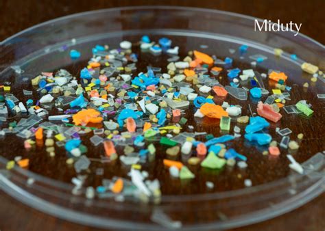Dangers Of Microplastics In The Human Body And How To Remove Miduty