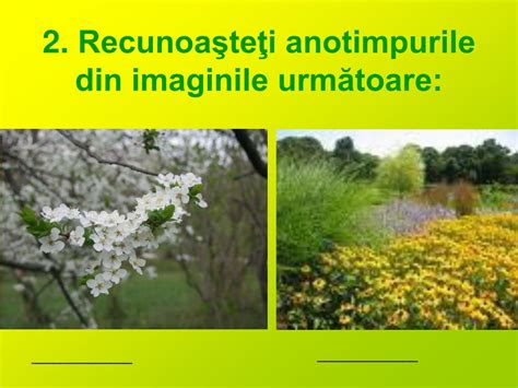 PPT ANOTIMPURILE ŞI VIEŢUITOARELE PowerPoint Presentation free
