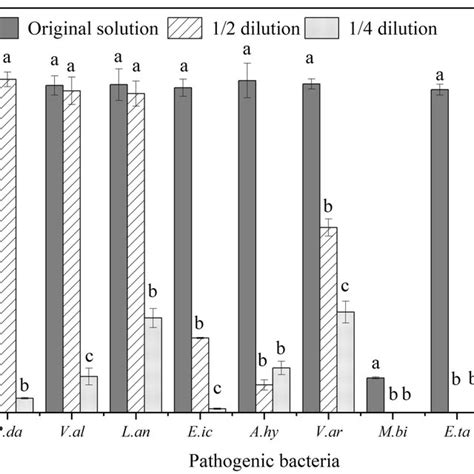 Effects Of Enzyme Treatments On The Antibacterial Activity Of Strain R1