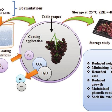 The Coating Formulation Films With The Experiment Processes Download Scientific Diagram