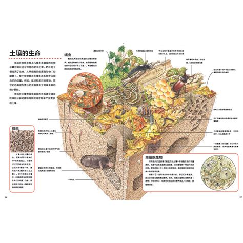 万物运转的秘密环境 虎窝淘