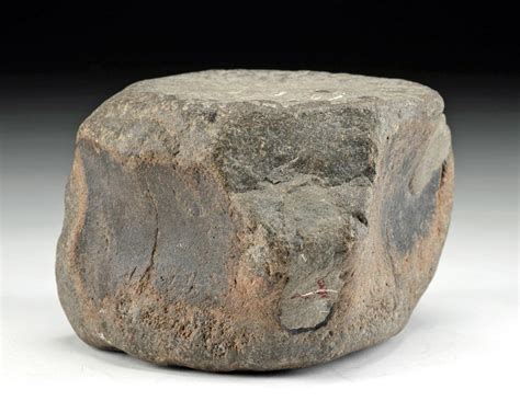 Sold Price Fossilized Marine Vertebrae Bone W Fossilized Shells April 4 0123 8 00 Am Mdt