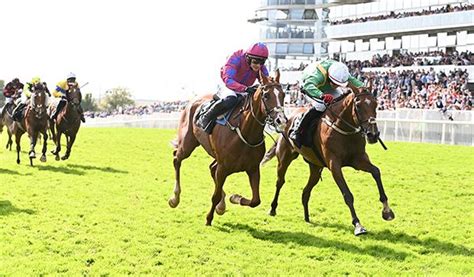 Galway Races 2025 News The Young Pretender Is Strong Link Ross O