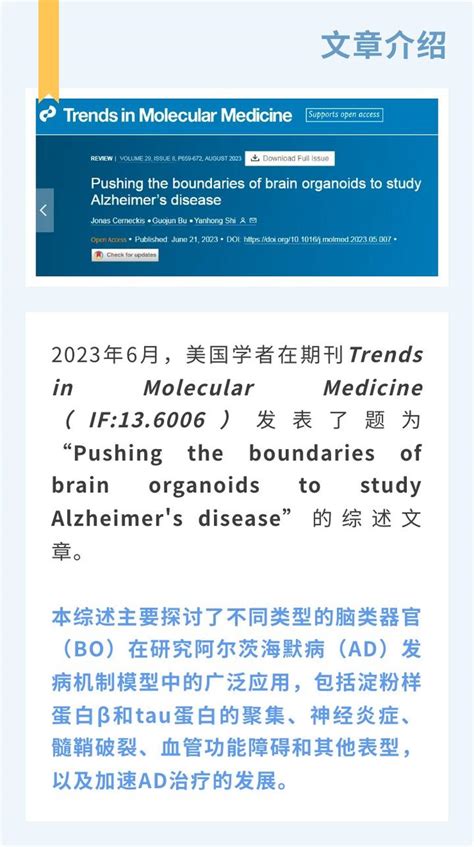 突破脑类器官的界限来研究阿尔茨海默病 知乎