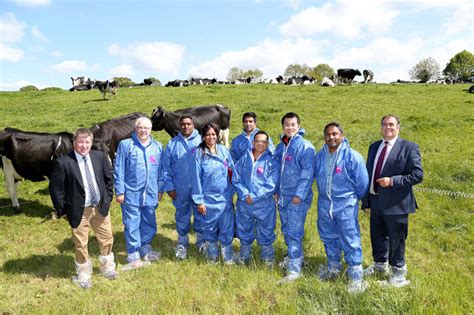 Over £55 Million In New Sales For Northern Ireland Dairy Dairy Global