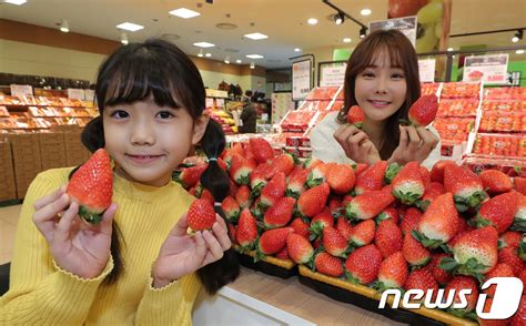 롯데마트 이렇게 큰 딸기 보신 적 있으세요