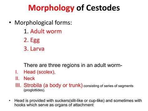 Cestodes Ppt