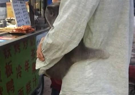 男生还是不要养猫了，看猫咪的小手手搂腰，哪还有女朋友的位置