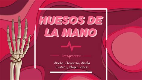 SOLUTION Huesos De La Mano Studypool