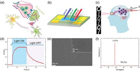 A The Schematic Diagram Of Biological Neurons And Signal Transmission