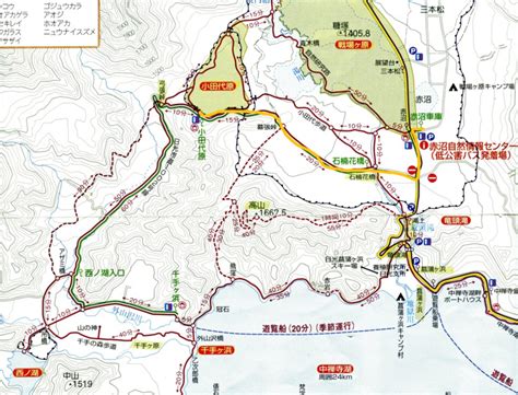 小田代原の草紅葉は 日光自然博物館 2