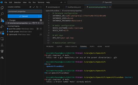 Streamline Your OpenShift Deployments With Environment Variables Rifat Erdem Sahin