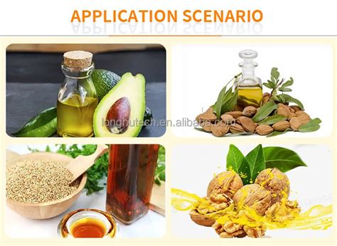 상업적인 호두 유압 찬 압박 기름 만들기 기계 Buy 유압 차가운 프레스 오일 기계참깨 유압 오일 프레스 기계상업 유압 오일 프레스 Product On