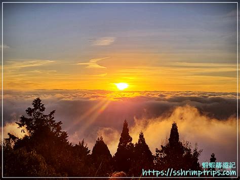 阿里山。阿里山公路895k景觀平台 』傷心山日落雲海。欣賞阿里山雲海景色的景觀平台 蝦蝦瞎遊記